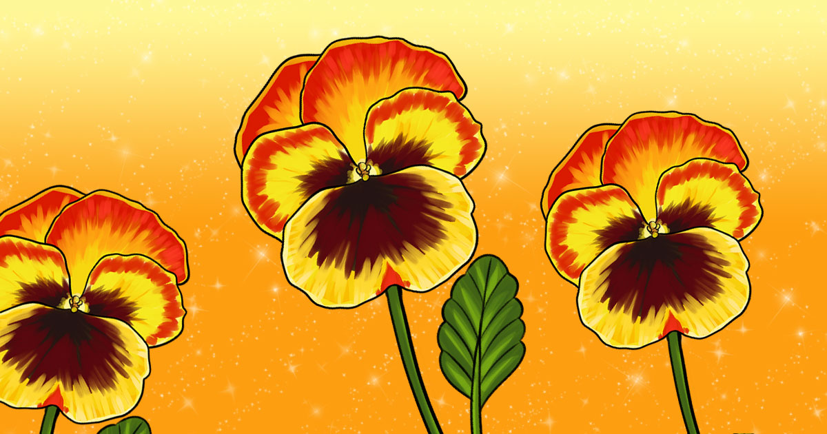 Fiery Pansies - RP Repository